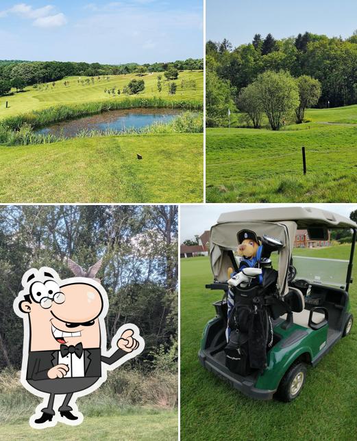 Skylark Country Club, Fareham - Restaurant menu, prices and reviews