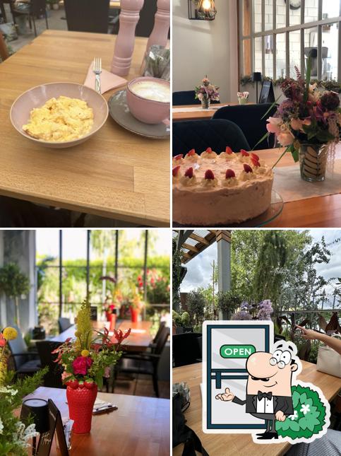 Top 5 Lokale in Wallertheim, Oktober 2025 - Restaurant Guru