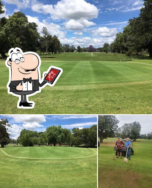 Singleton Golf Club, Singleton - Restaurant menu, prices and reviews