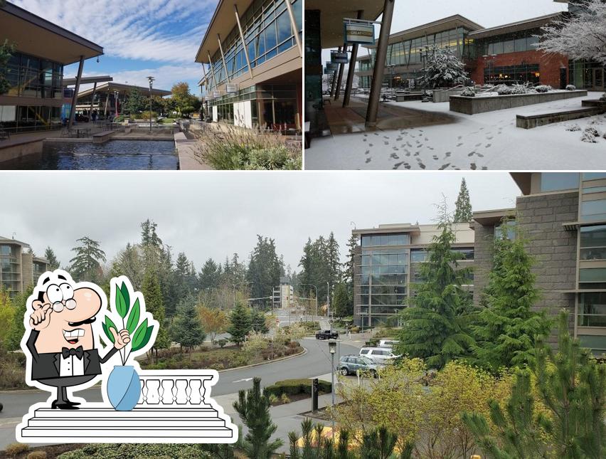 Microsoft Commons, Redmond - Restaurant menu, prices and reviews