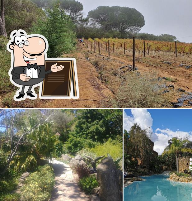 Fort Simon Wine Estate, Cape Town - Restaurant menu, prices and reviews