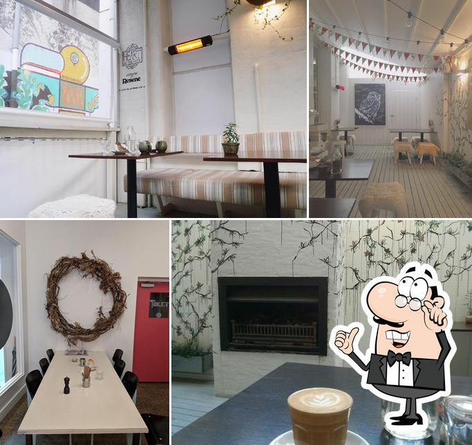 Top 20 cafes in Auckland, october 2025 - Restaurant Guru