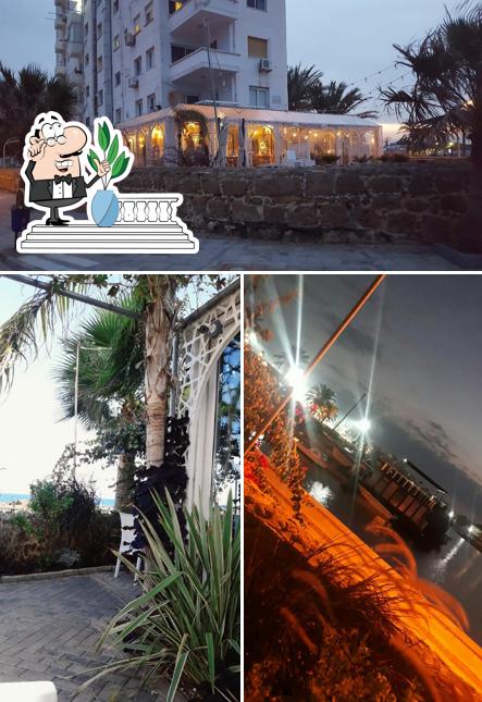 The Palm House - Restaurant menu, prices and reviews