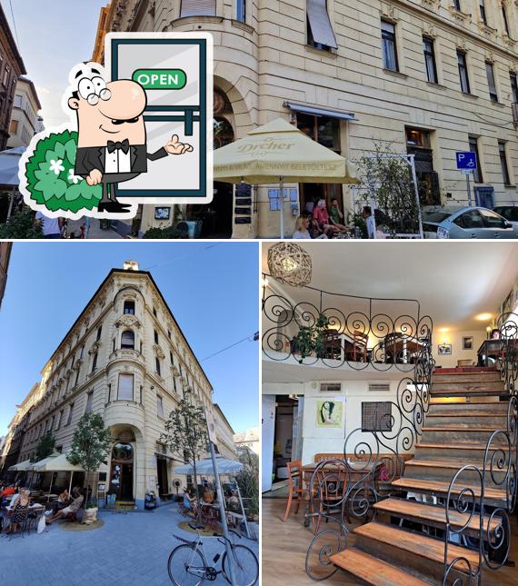 Café Csiga, Budapest - Restaurant menu, prices and reviews