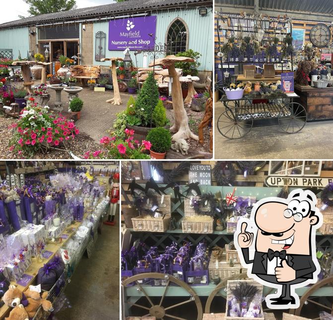 Mayfield Lavender Glasshouse Cafe and Gift & Plant Shop, Epsom ...