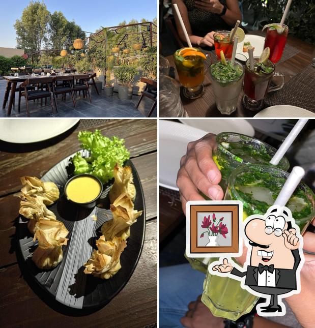 Finca Restro-Cafe Nature Inspired Restaurant Best Family Restro & Cafe ...