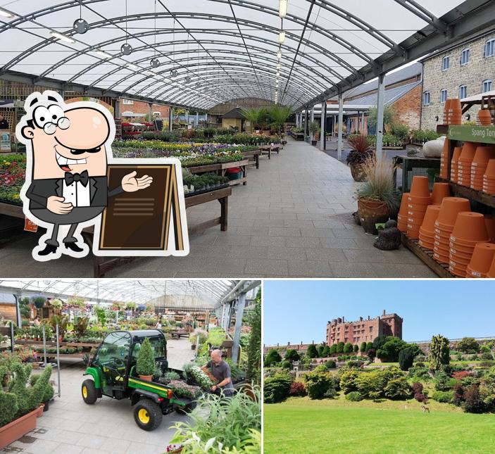 Charlies Stores Coed-Y-Dinas, Welshpool - Restaurant menu, prices and ...