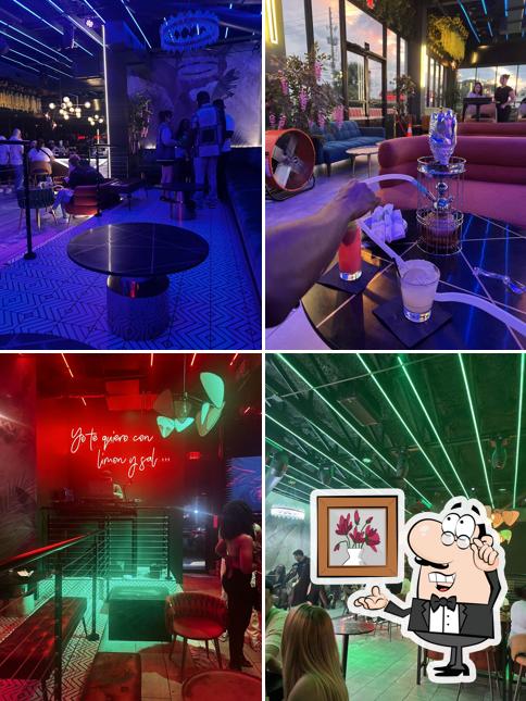 Unico Gastrobar, Orlando - Restaurant menu, prices and reviews