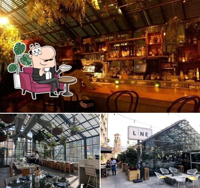 Openaire, Los Angeles - Restaurant menu, prices and reviews