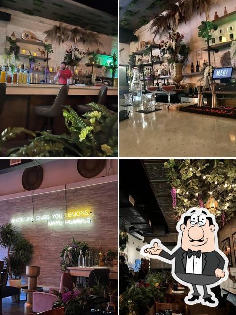 MEDI, Chicago, Armitage - Restaurant menu, prices and reviews