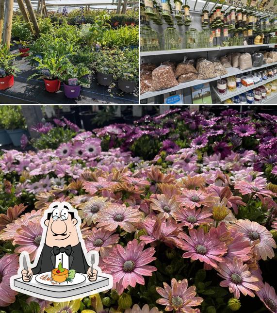 Foundry Plant centre, Long Stratton - Restaurant menu, prices and reviews