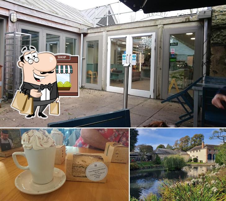 The Park Cafe Saltram House, Plymouth - Restaurant menu, prices and reviews