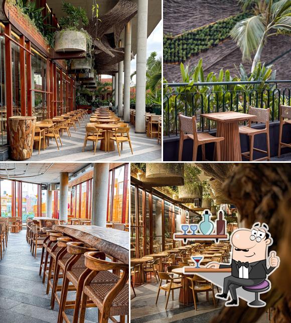 The Palms Brew and Kitchen, Bengaluru - Restaurant menu, prices and reviews