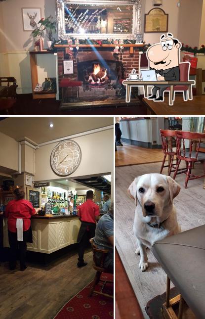 The Horns Inn, Southampton - Restaurant menu, prices and reviews