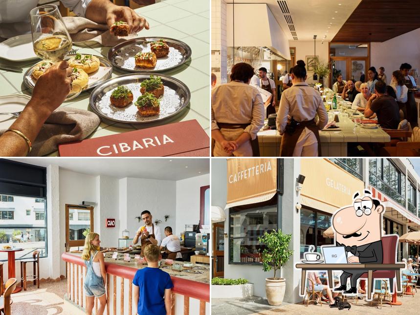 Cibaria Manly, Manly - Restaurant menu, prices and reviews