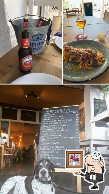 Beccafico, Lititz - Restaurant menu, prices and reviews