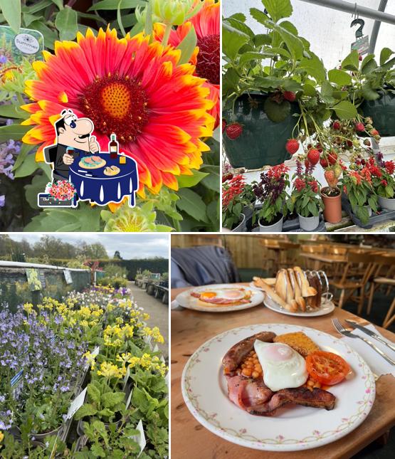 Top 7 restaurants in Uttoxeter, september 2025 - Restaurant Guru