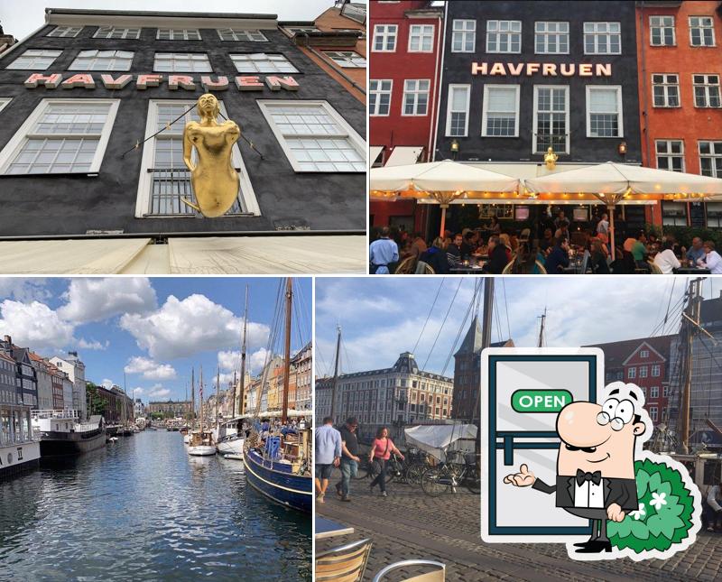 Restaurant Havfruen, Copenhagen - Restaurant menu, prices and reviews
