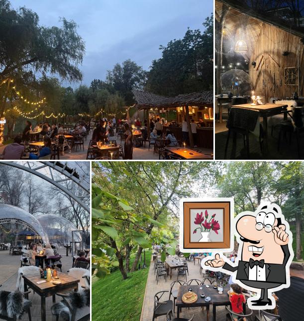 INDIGEN, Bucharest, Obor - Restaurant menu, prices and reviews