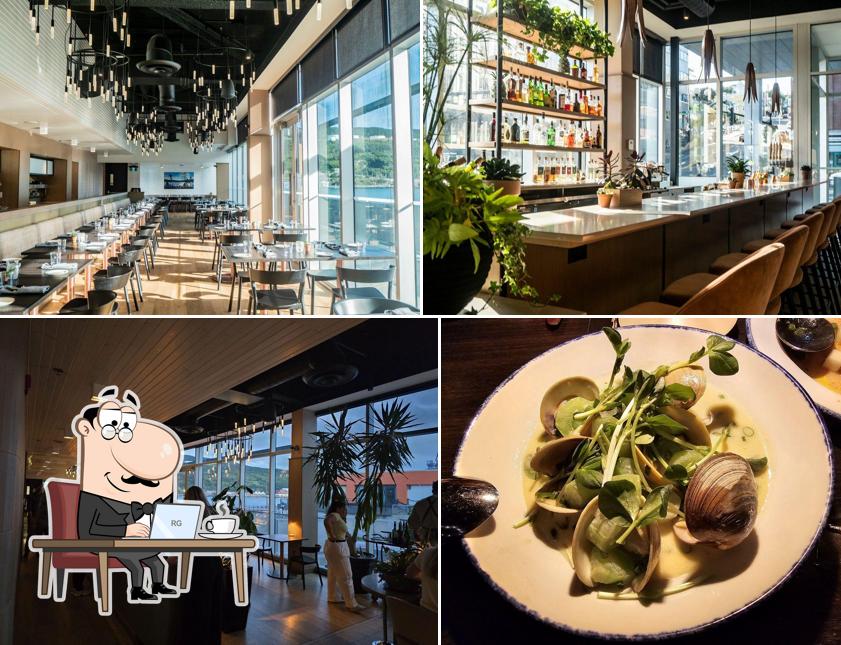 Terre, St. John's - Restaurant menu, prices and reviews