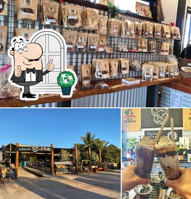Mutts Cafe & Restaurant in Exmouth, Exmouth - Restaurant menu, prices ...
