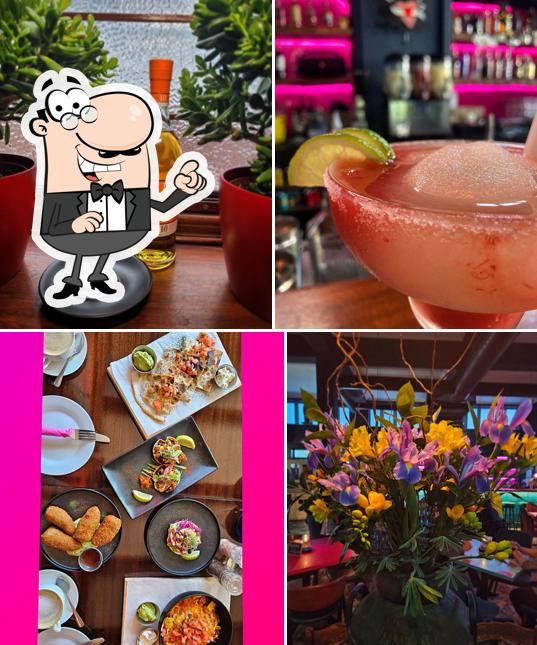 Tortuga Loca, Cape Town - Restaurant menu, prices and reviews
