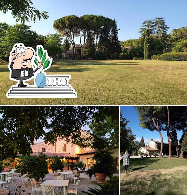 Casa Masi, Montaione - Menu del ristorante, prezzi e recensioni