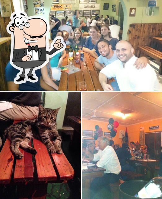 Cubata Portuguese Grill House, Port Elizabeth - Restaurant menu, prices ...