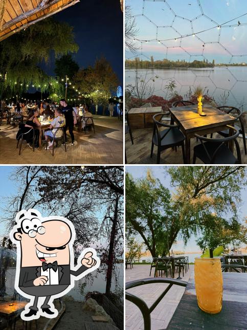 INDIGEN, Bucharest, Obor - Restaurant menu, prices and reviews