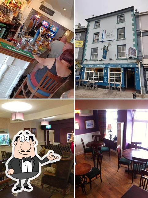 The Sprat & Mackerel, Brixham - Restaurant menu, prices and reviews