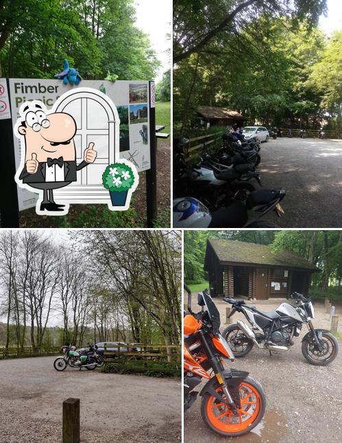 Fimber Cafe (Log Cabin) - Restaurant menu, prices and reviews