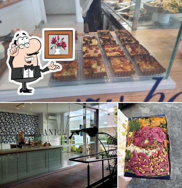 Botanica Real Food, Albion - Restaurant menu, prices and reviews