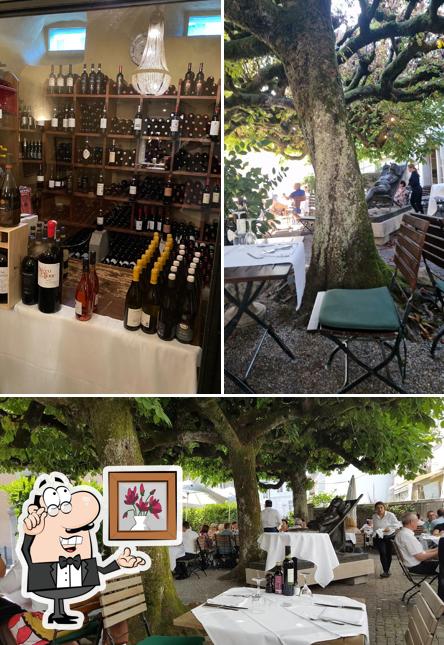 Cantinetta Bindella Solothurn, Solothurn - Speisekarte, Preise und ...