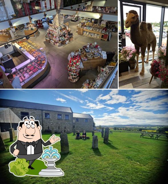 Mainsgill Farm Shop - Restaurant menu, prices and reviews