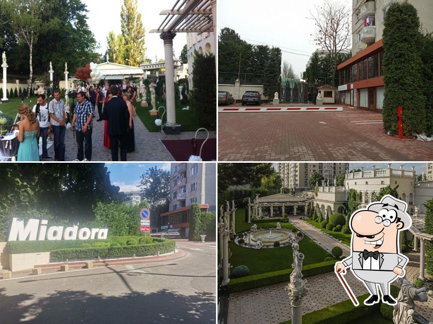 Miadora, Chisinau - Restaurant menu, prices and reviews