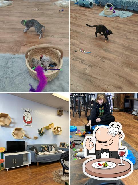 Sassy Cat Club Cafe, Brandon - Restaurant menu, prices and reviews