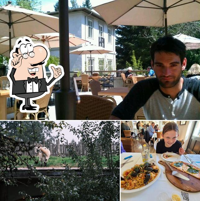 Cuckoo Trattoria and Pizzeria, Coombs - Restaurant menu, prices and reviews