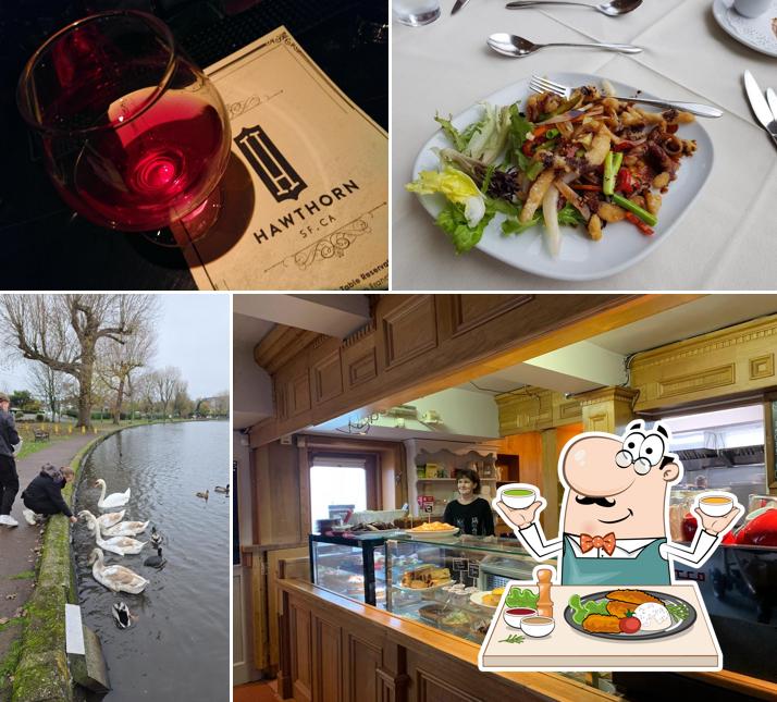 The Hawthorn Bar, Cork - Restaurant menu, prices and reviews