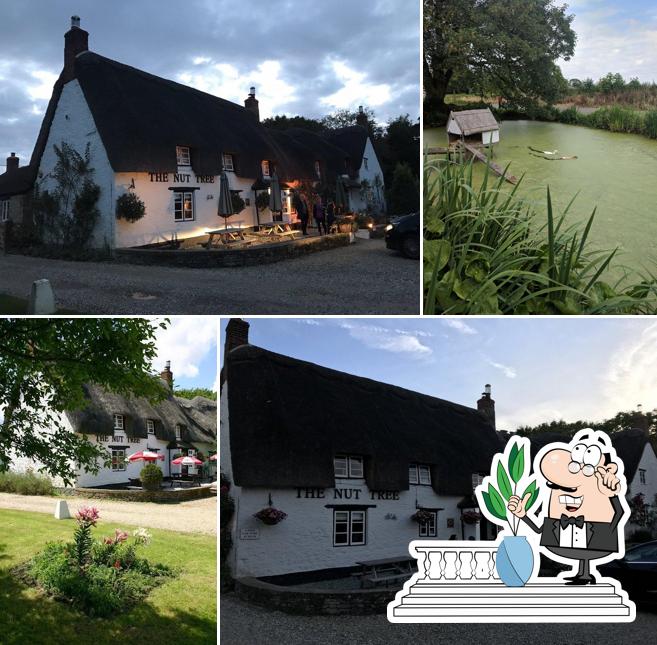 Nut Tree Inn, Fencott and Murcott - Restaurant menu, prices and reviews