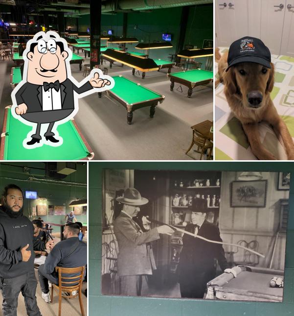 Orange Monkey Bar & Billiards, Ottawa - Restaurant menu, prices and reviews
