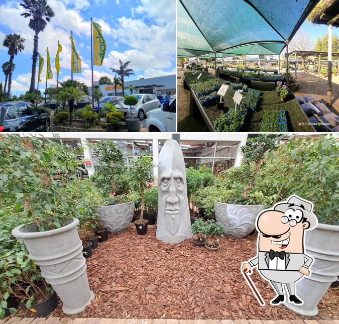 Stodels Cafe Bellville, Cape Town - Restaurant menu, prices and reviews