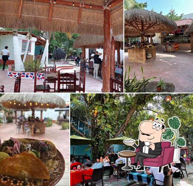 Tola Campestre, Cancún - Menú del restaurante, precios y reseñas