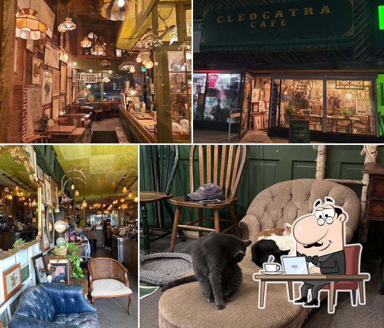 Cleocatra Café - Cat Cafe/ Portage Ave, Winnipeg - Restaurant menu ...
