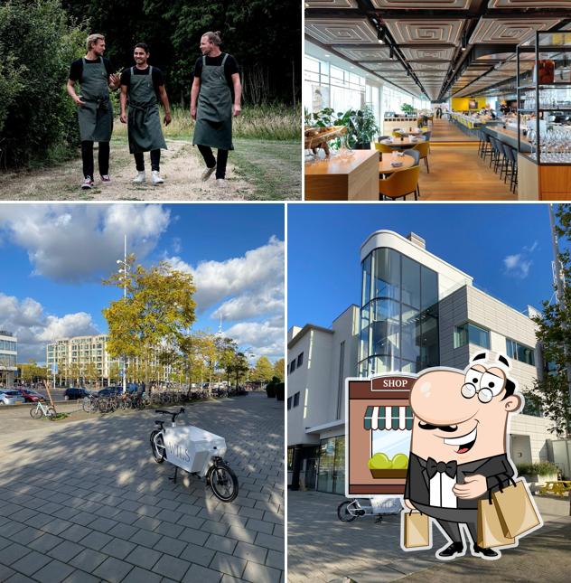 Restaurant Wils, Amsterdam - Restaurant menu, prices and reviews