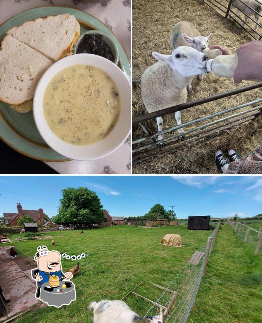 Lizzie’s Farm, Bromsgrove - Restaurant menu, prices and reviews