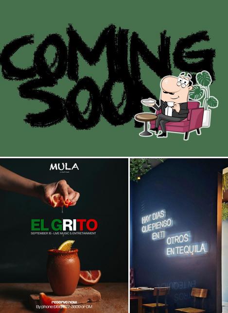 Mula Cantina, McAllen - Restaurant menu, prices and reviews