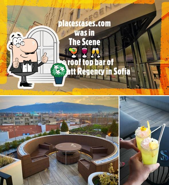 The Scene Rooftop Bar & Terrace, Sofia - Restaurant menu, prices and ...