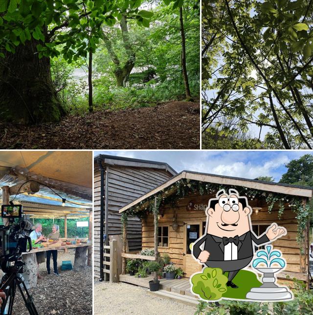 Fodder in the Woods, Downpatrick - Restaurant menu, prices and reviews