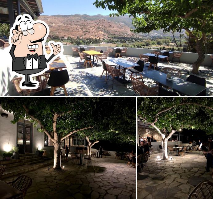 Verde Andros, Andros - Restaurant menu, prices and reviews