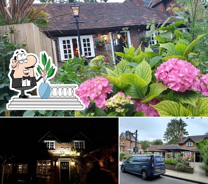 The Queen Inn, Winchester - Restaurant menu, prices and reviews